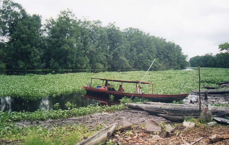 A Look at the Major Indigenous Cultures of 13 Latino Countries | BELatina