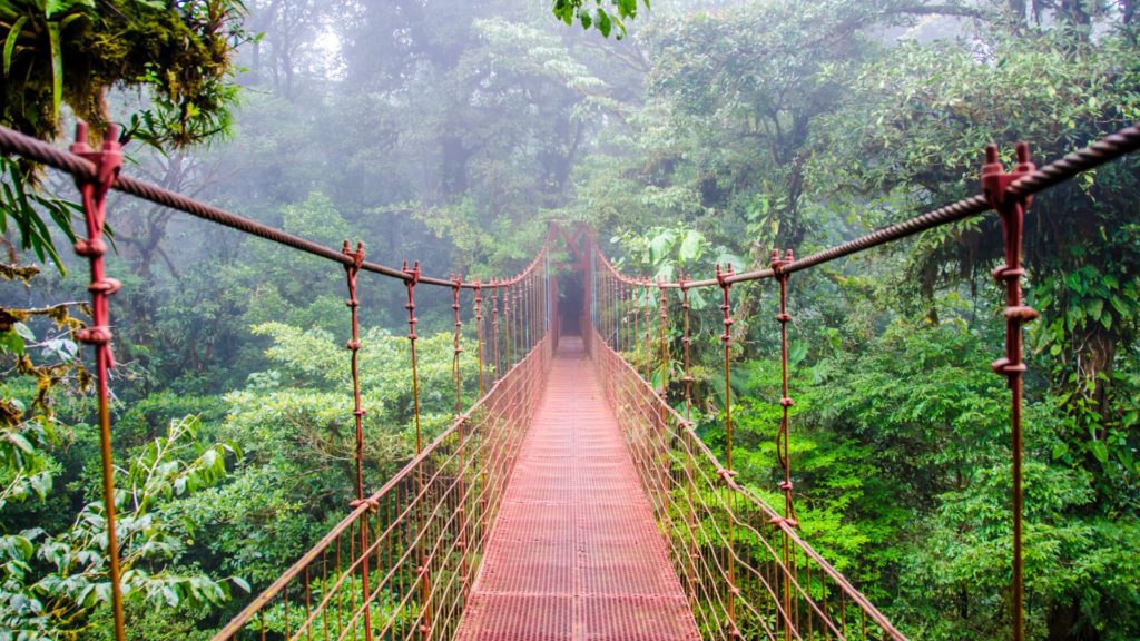 A Look at the Major Indigenous Cultures of 13 Latino Countries | BELatina
