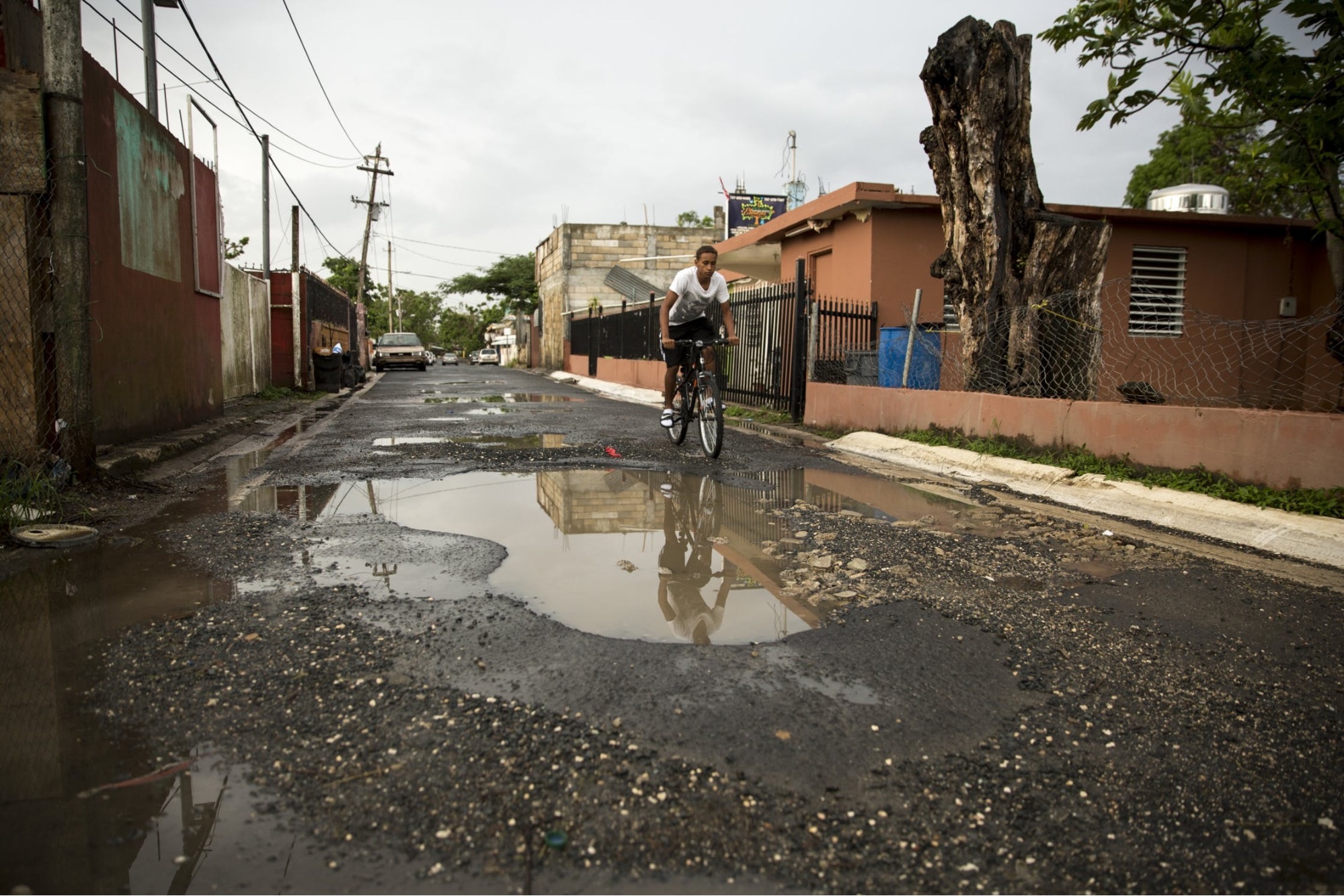Analysis: Is Mayor Carmen Yulín As Pro-Puerto Rico As She Claims ...