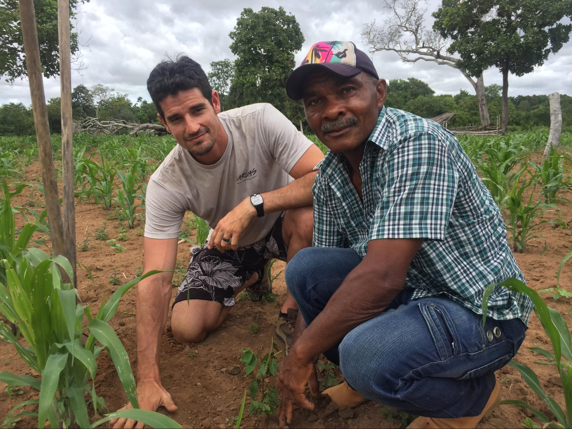 All About Barùkas: This Wild Nut Could Save the Cerrado of Brazil ...