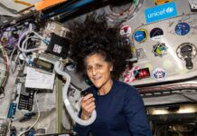 A Look at the Major Indigenous Cultures of 13 Latino Countries | BELatina